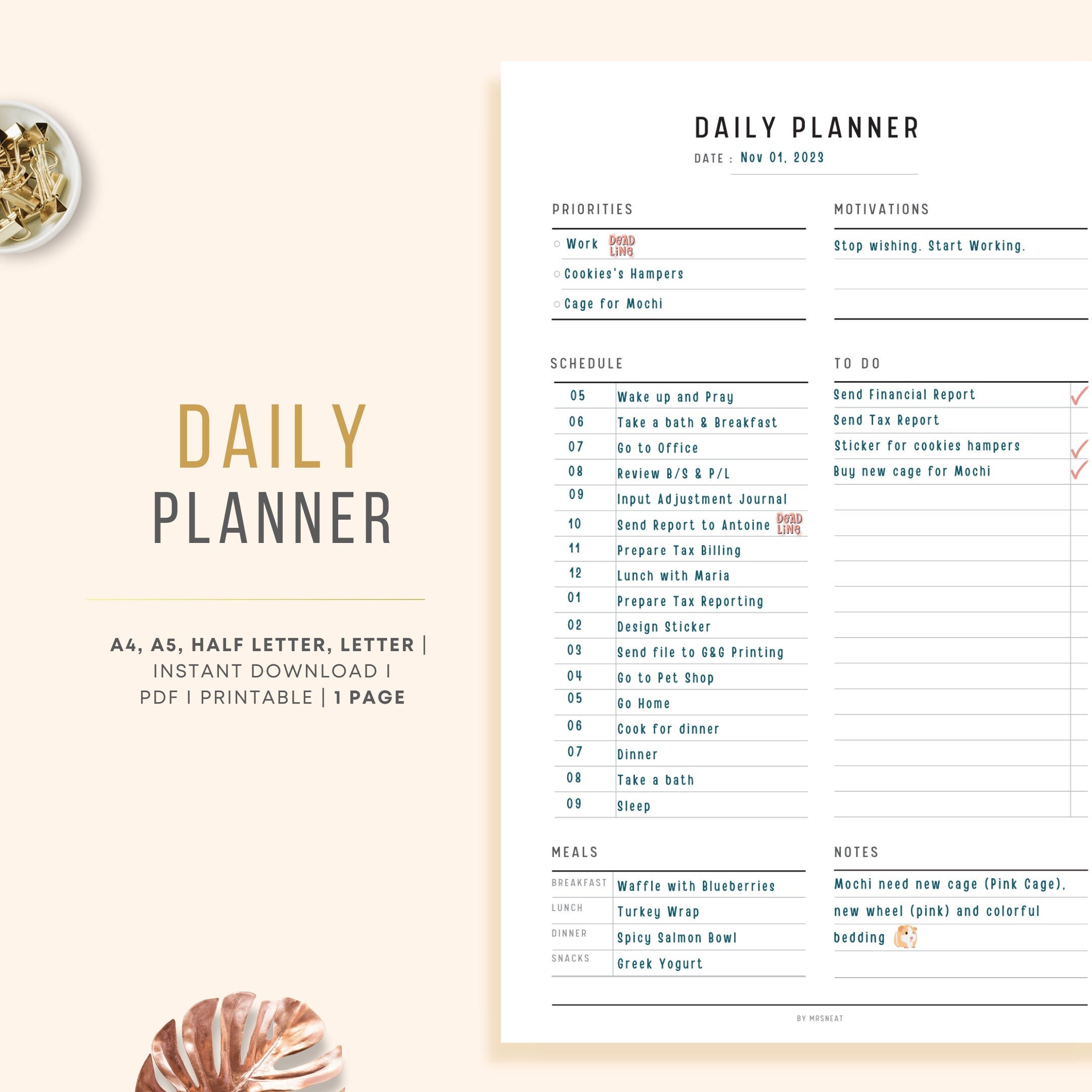 Daily Planner Printable, Daily Schedule Template, Daily to Do List, PDF ...