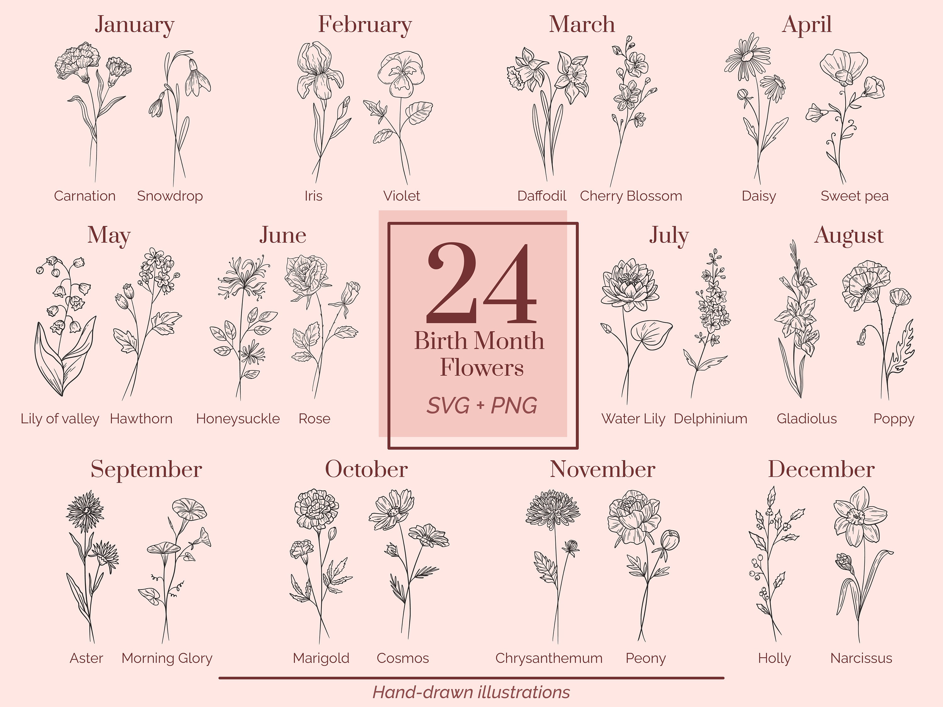 Birth Month Flower Svg Png Bundle Floral Svg Birth Flower - Etsy
