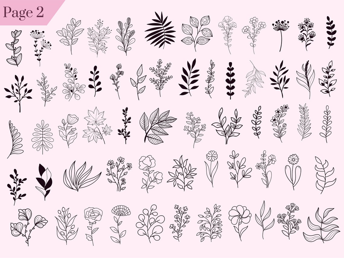 300 Botanical Svg Png Bundle Flower Svg Floral Svg Leaves - Etsy