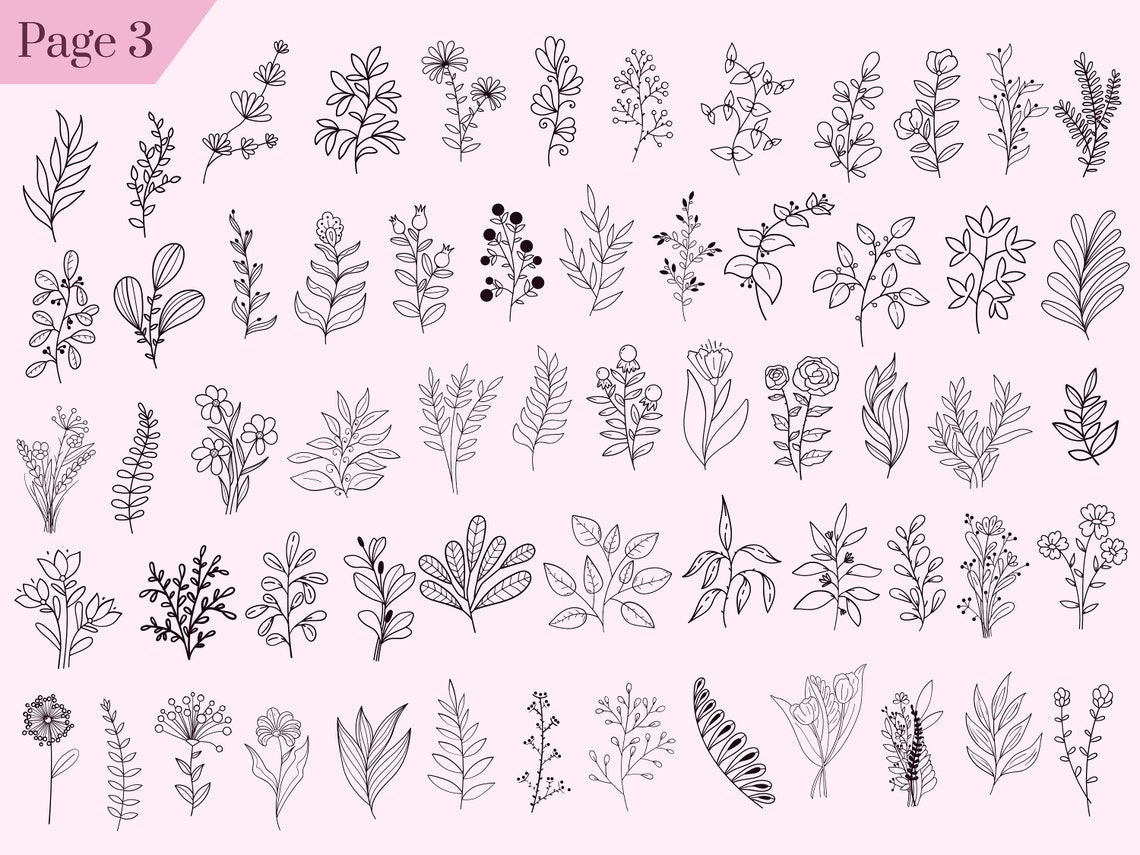 300 Botanical Svg Png Bundle Flower Svg Floral Svg Leaves - Etsy