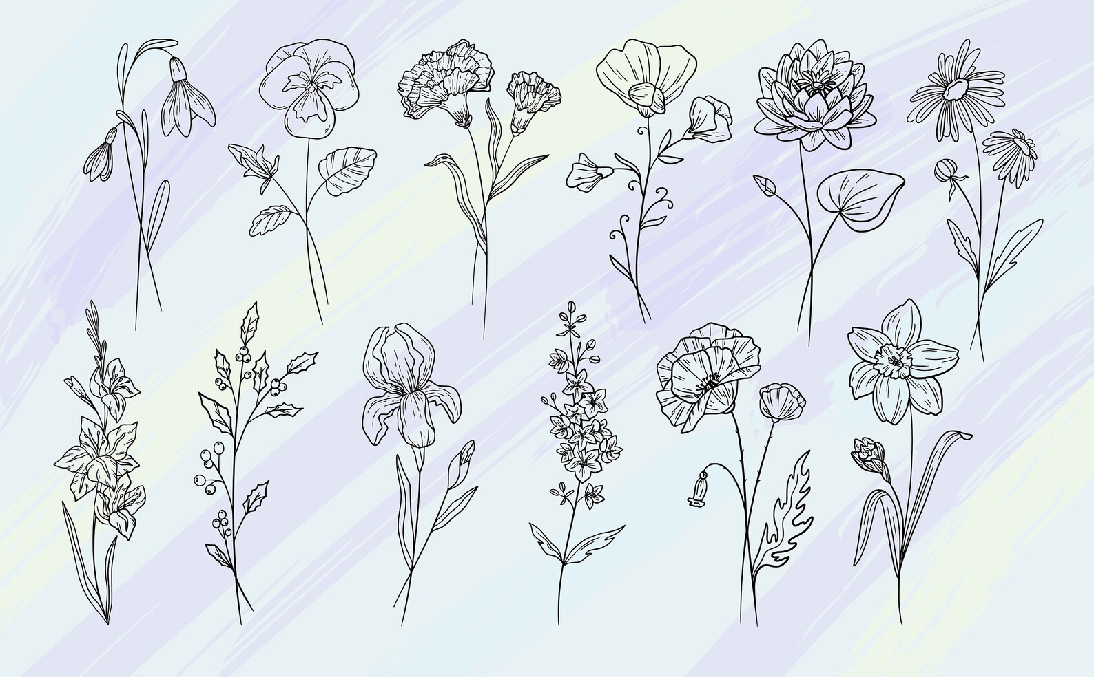 Birth Month Flower Svg Png Bundle Floral Svg Birth Flower - Etsy