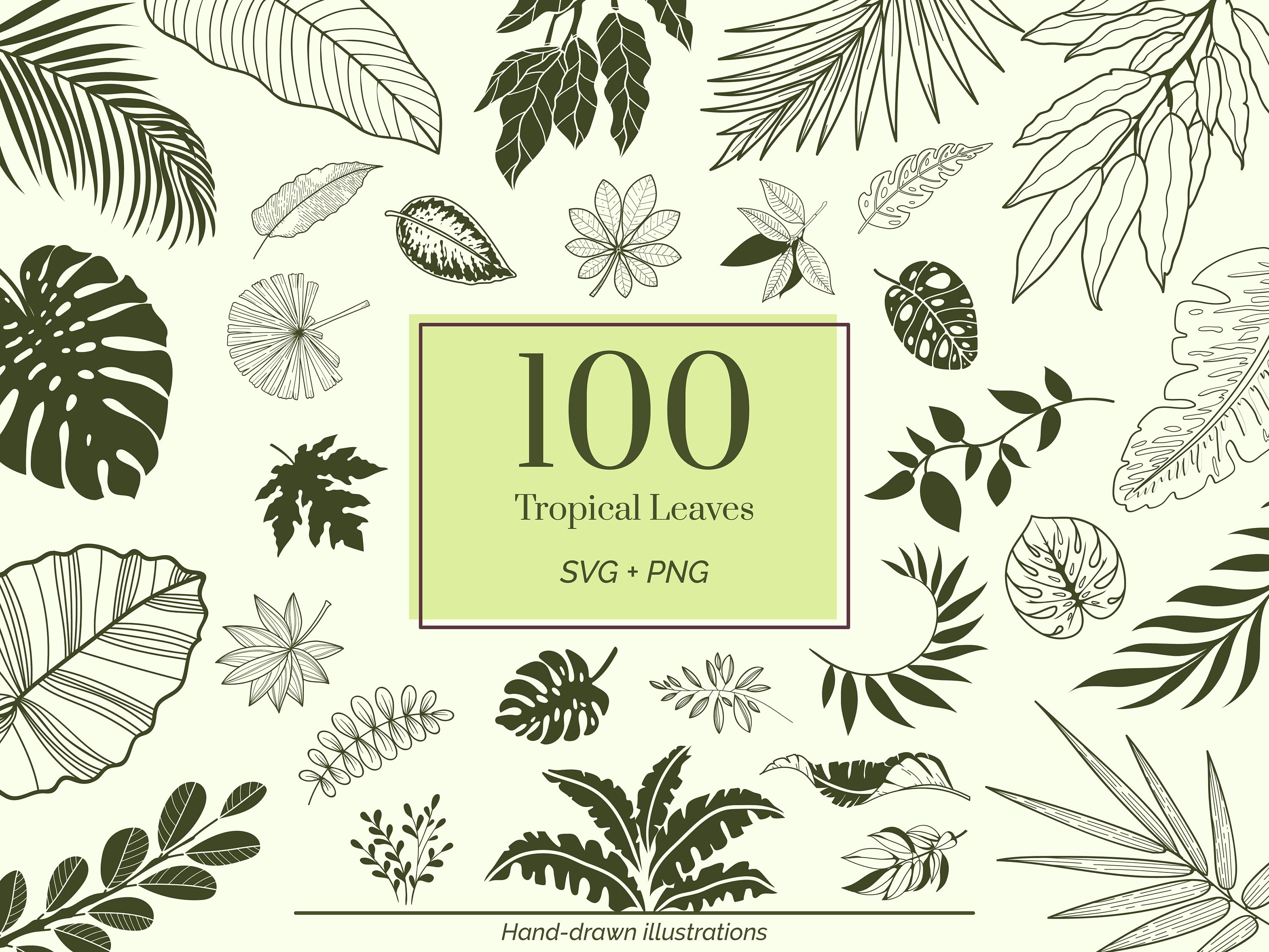 Tropical Leaves Svg Png Bundle Monstera Svg Palm Leaf Svg - Etsy