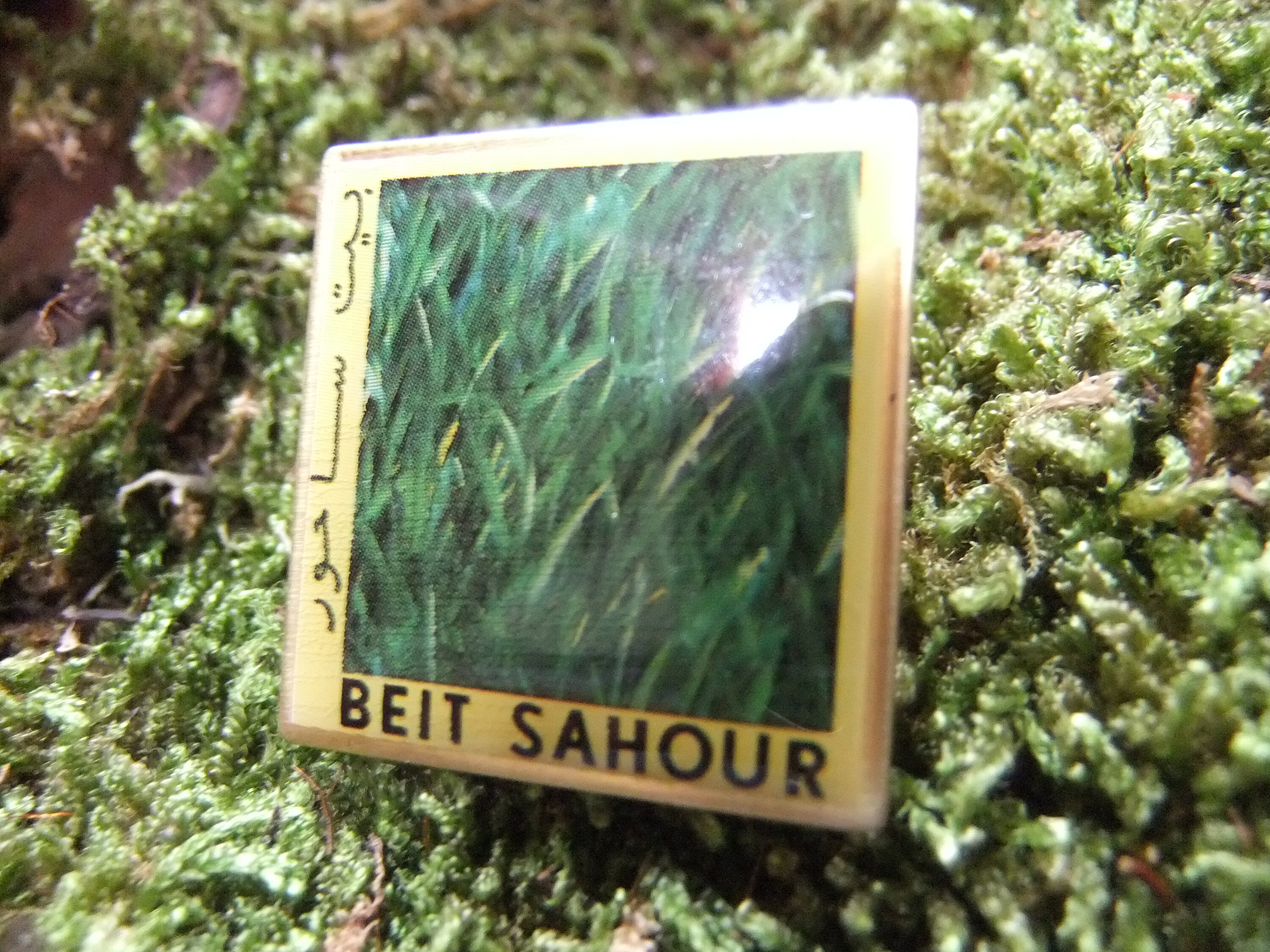 Rarity Pin Bayt Sahur Beit Sahour Lapel Pin City - Etsy