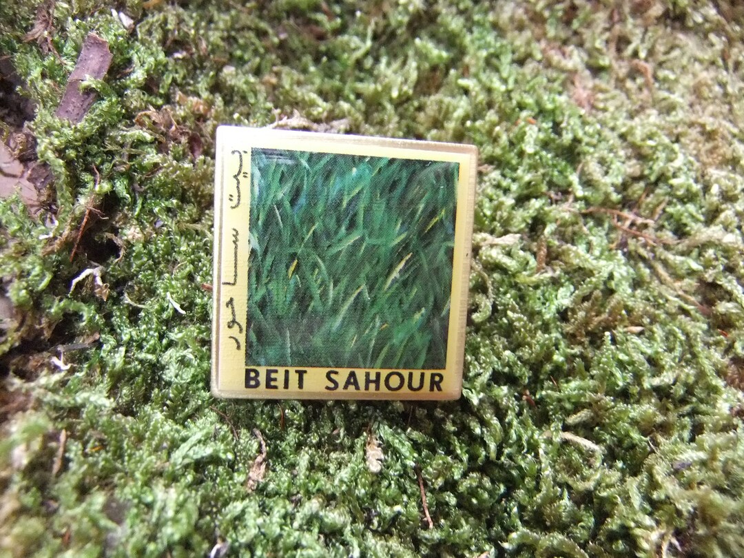 Rarity Pin Bayt Sahur Beit Sahour Lapel Pin City - Etsy