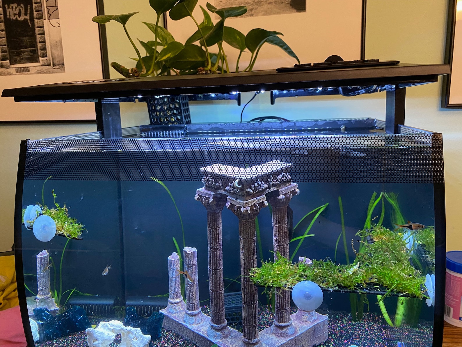 Lid Prop & Risers Combo Pack's Fluval Flex 15 Gallon - Etsy