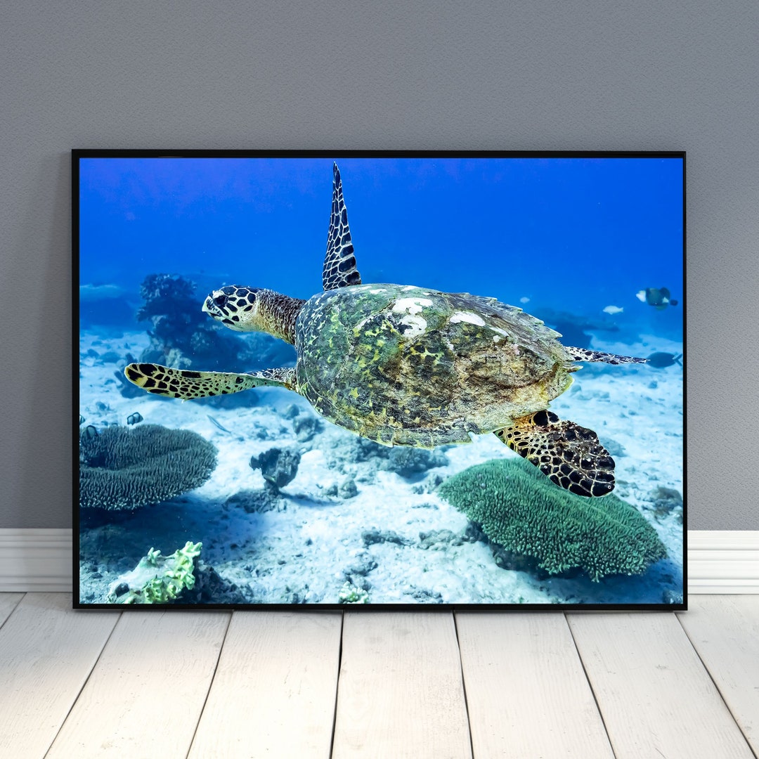 Sea Turtle Art Turtle Hanging Wall Art Poster Turtle Poster Home Decor ...