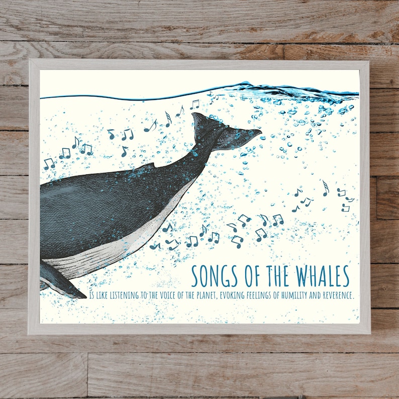 Whale Song Poster With Music Notes and Bubbles Ocean Wall Art Poster ...