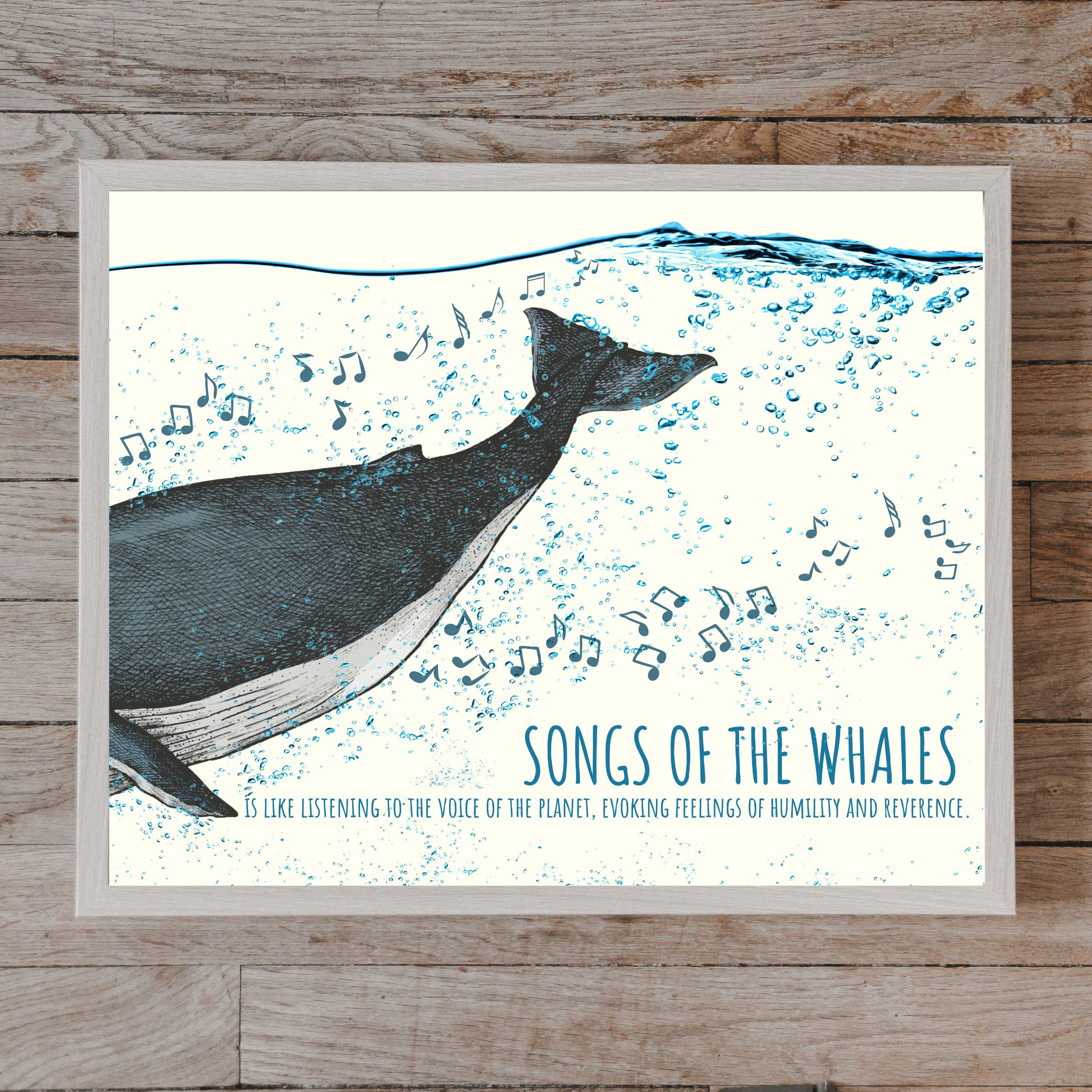 Whale Song Poster With Music Notes and Bubbles Ocean Wall Art Poster ...