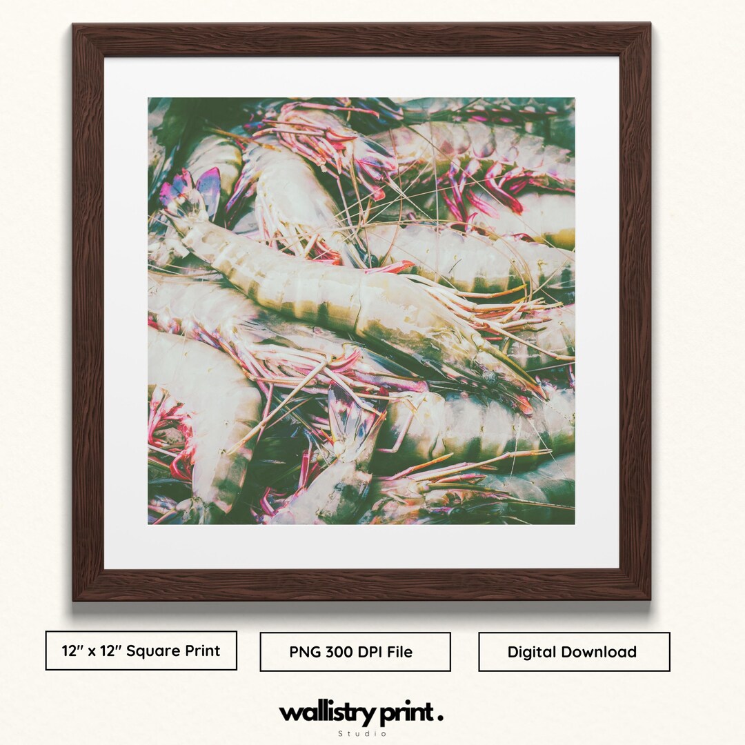 Vintage Prawn Photography Print Seafood Decor Print Kitchen Wall Art ...