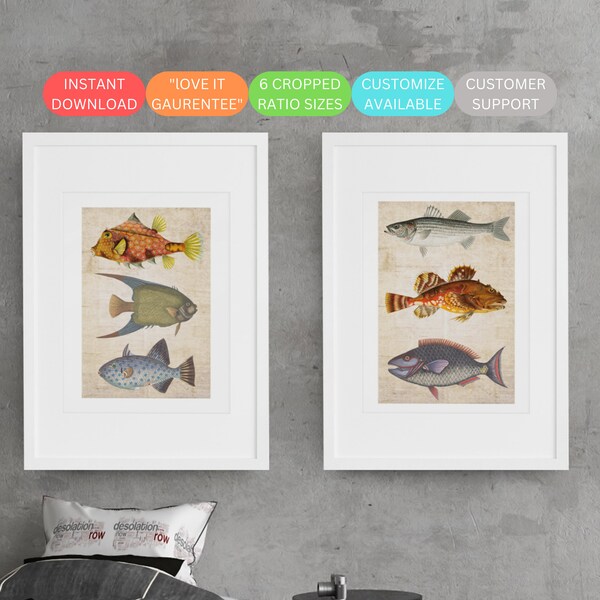 Vintage Fish Poster - Etsy