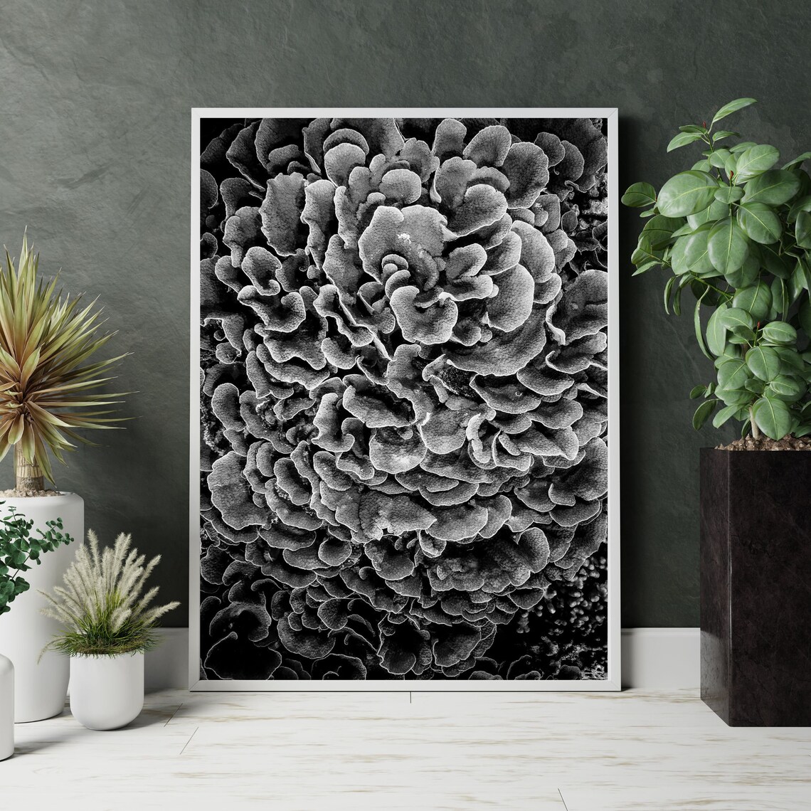 Black and White Coral Reef Wall Art Set of 3 Beautiful Coral - Etsy