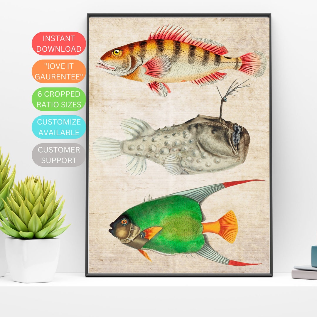 Fish Wall Art Poster Digital Fish Art Gift for Fishermen Vintage Fish ...