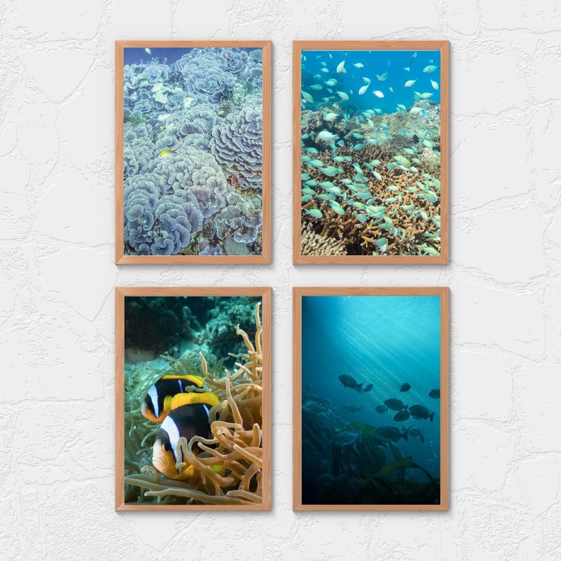 40 Underwater Print BUNDLE, Ocean Wall Art Posters Digital Ocean ...