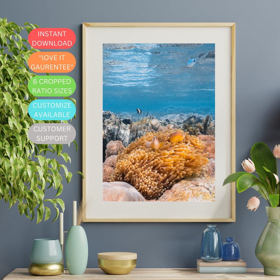Sealife Wall Art Poster Ocean Fish Wall Art Print for Bedroom Wall Art ...