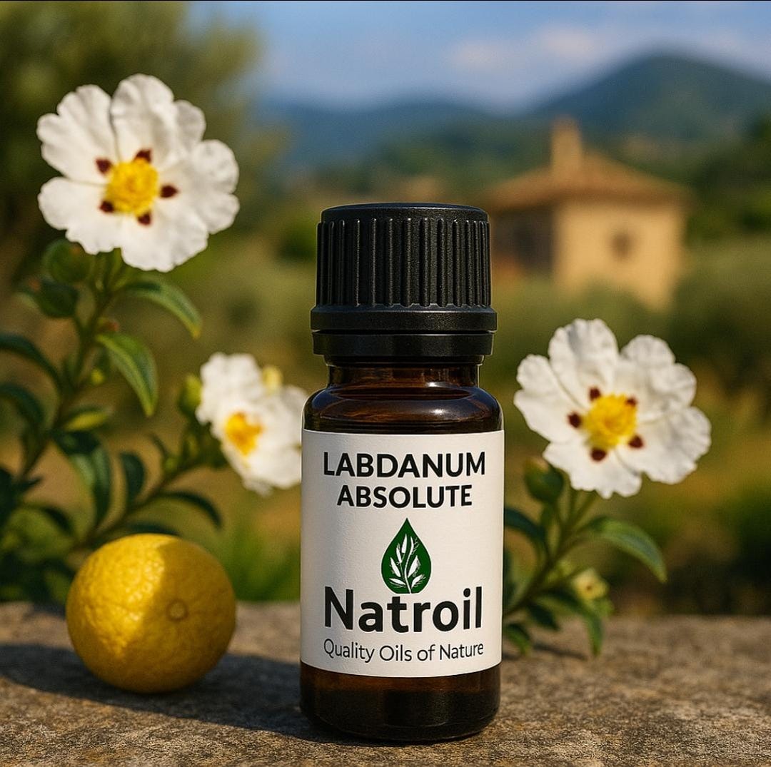 Labdanum (cistus Ladaniferus L.) 100% Absolute Oil - Etsy