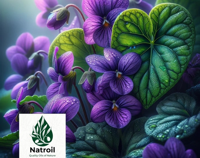 Violet Leaf Absolute - Viola Odorata (egypt) - Etsy Canada
