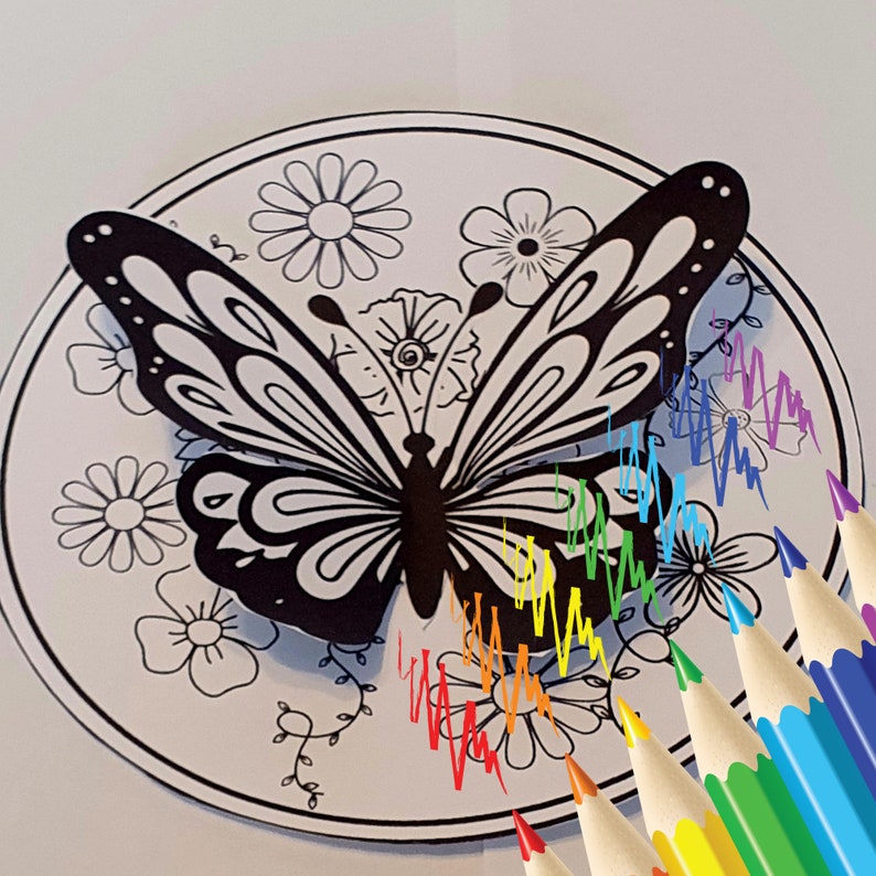 Butterfly Craft 3D Colouring/coloring Printable Four Templates, Art ...
