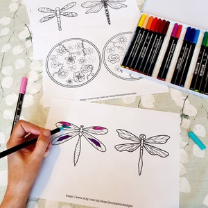 Dragonfly Craft 3D Colouring/coloring Printable Four Templates, Art ...