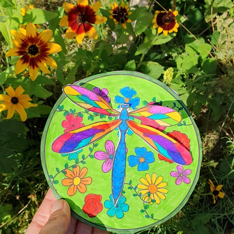 Dragonfly Craft 3D Colouring/coloring Printable Four Templates, Art ...