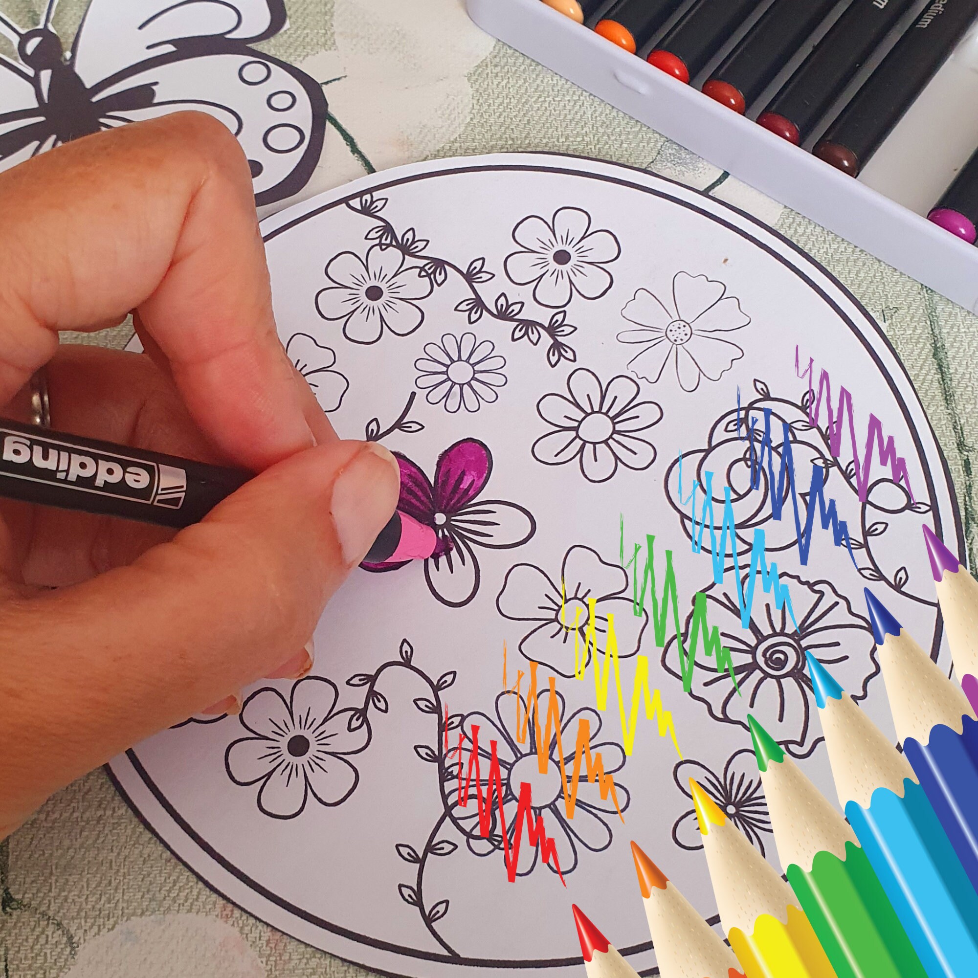 Butterfly Craft 3D Colouring/coloring Printable Four Templates, Art ...