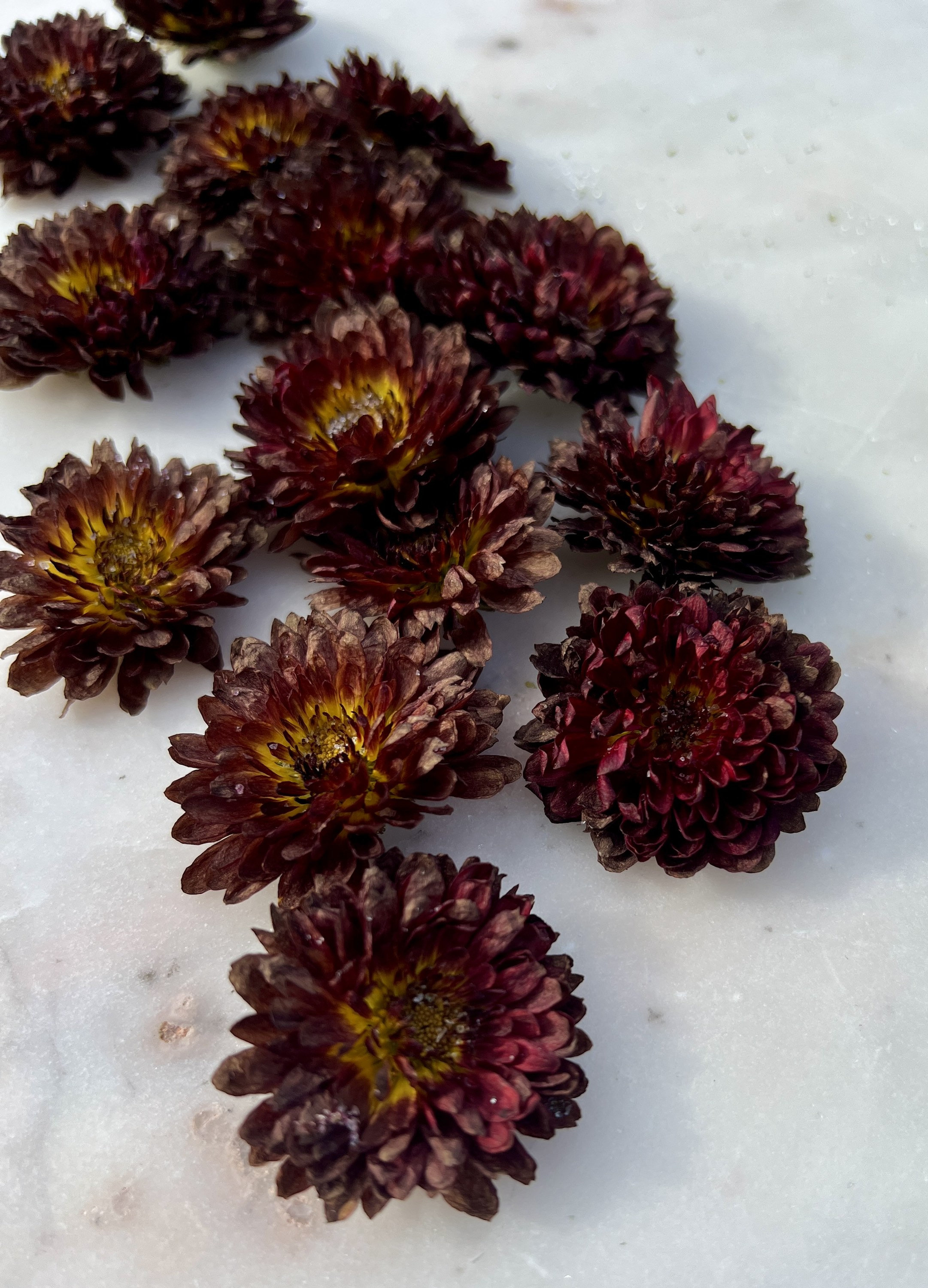 20 Fall Color Dried Flower Heads- Dry Flowers for Floral Crowns Wreaths ...