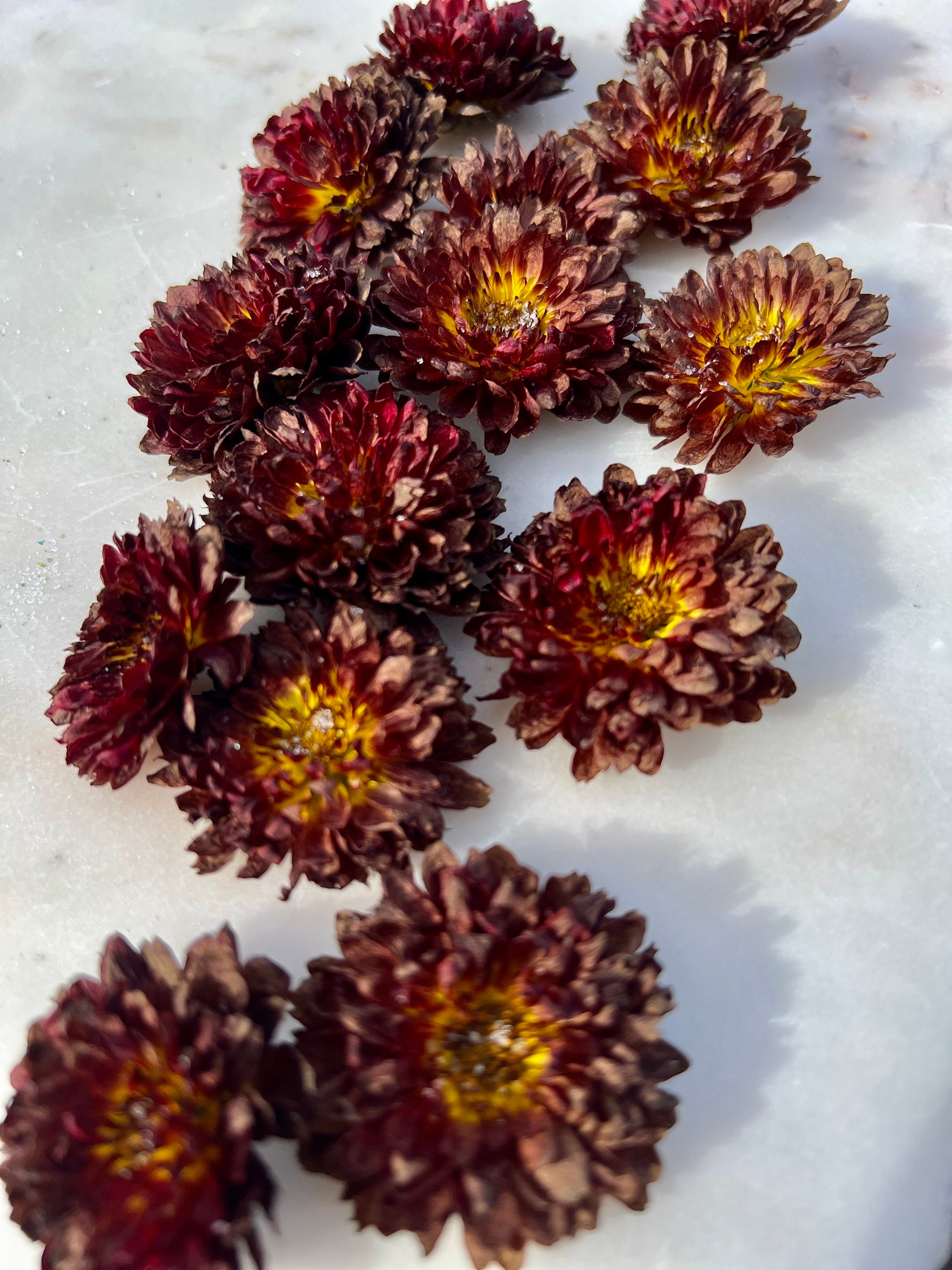 20 Fall Color Dried Flower Heads Dry Flowers for Floral Crowns Wreaths ...