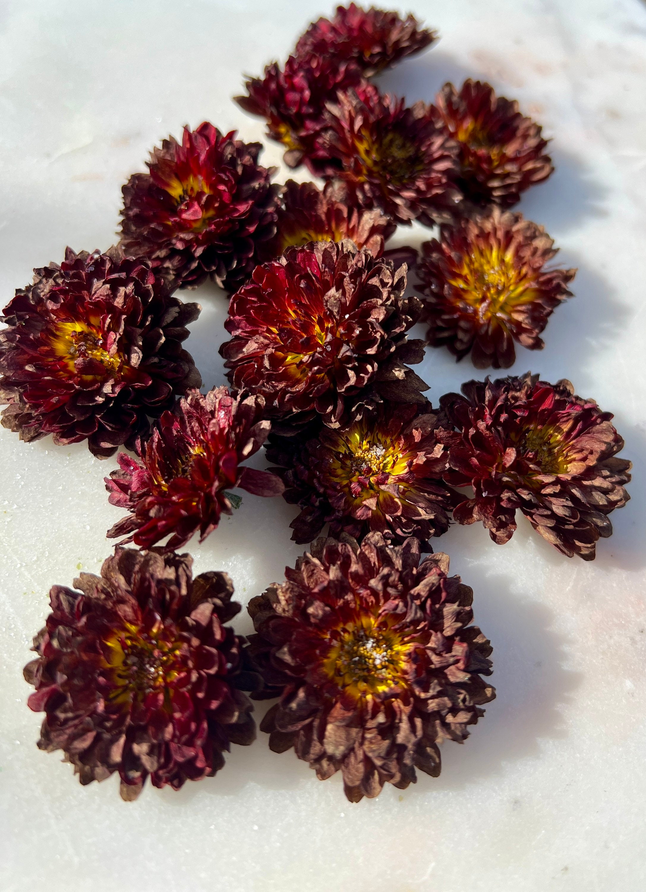 20 Fall Color Dried Flower Heads Dry Flowers for Floral Crowns Wreaths ...