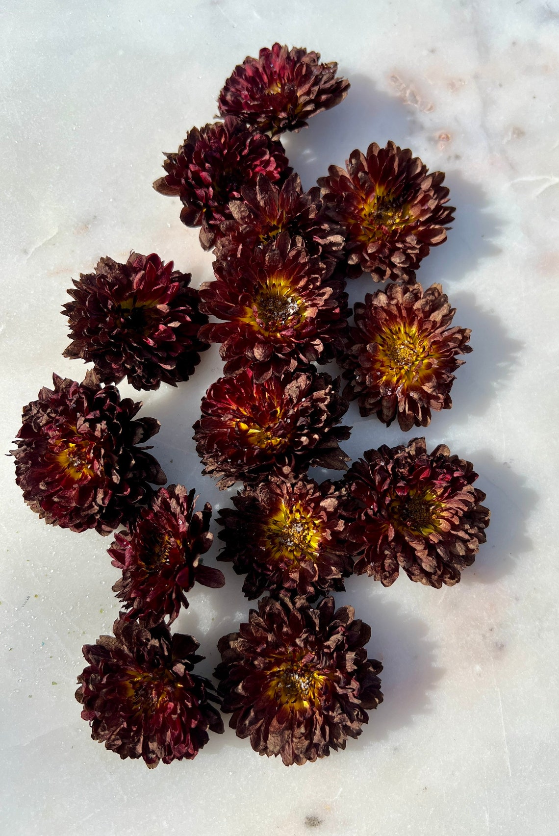 20 Fall Color Dried Flower Heads- Dry Flowers for Floral Crowns Wreaths ...