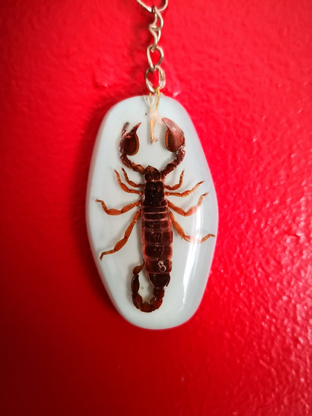Authentic Moroccan Scorpion Key Rings in Resin - Etsy