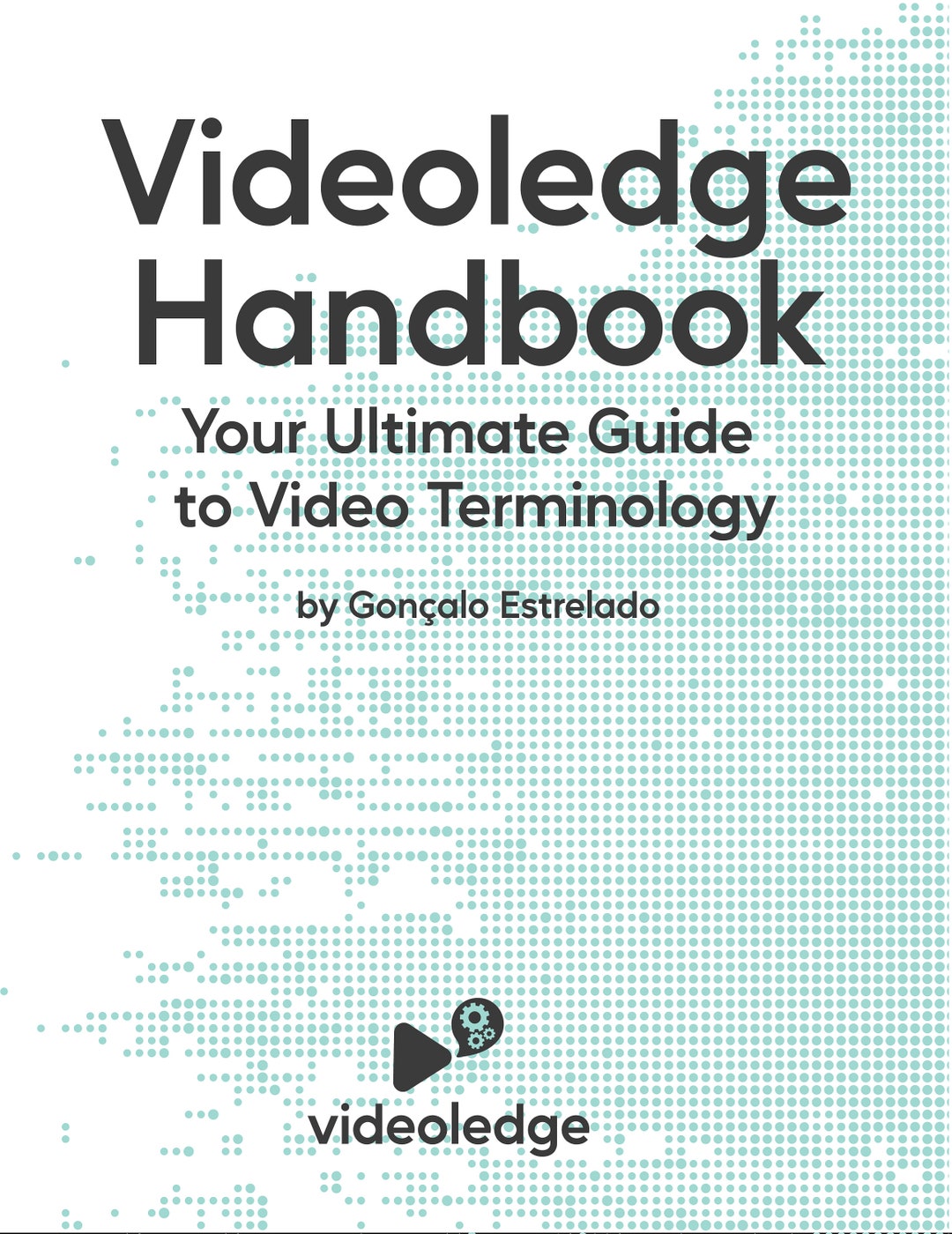 Videoledge Handbook: Your Ultimate Guide to Video Terminology - Etsy