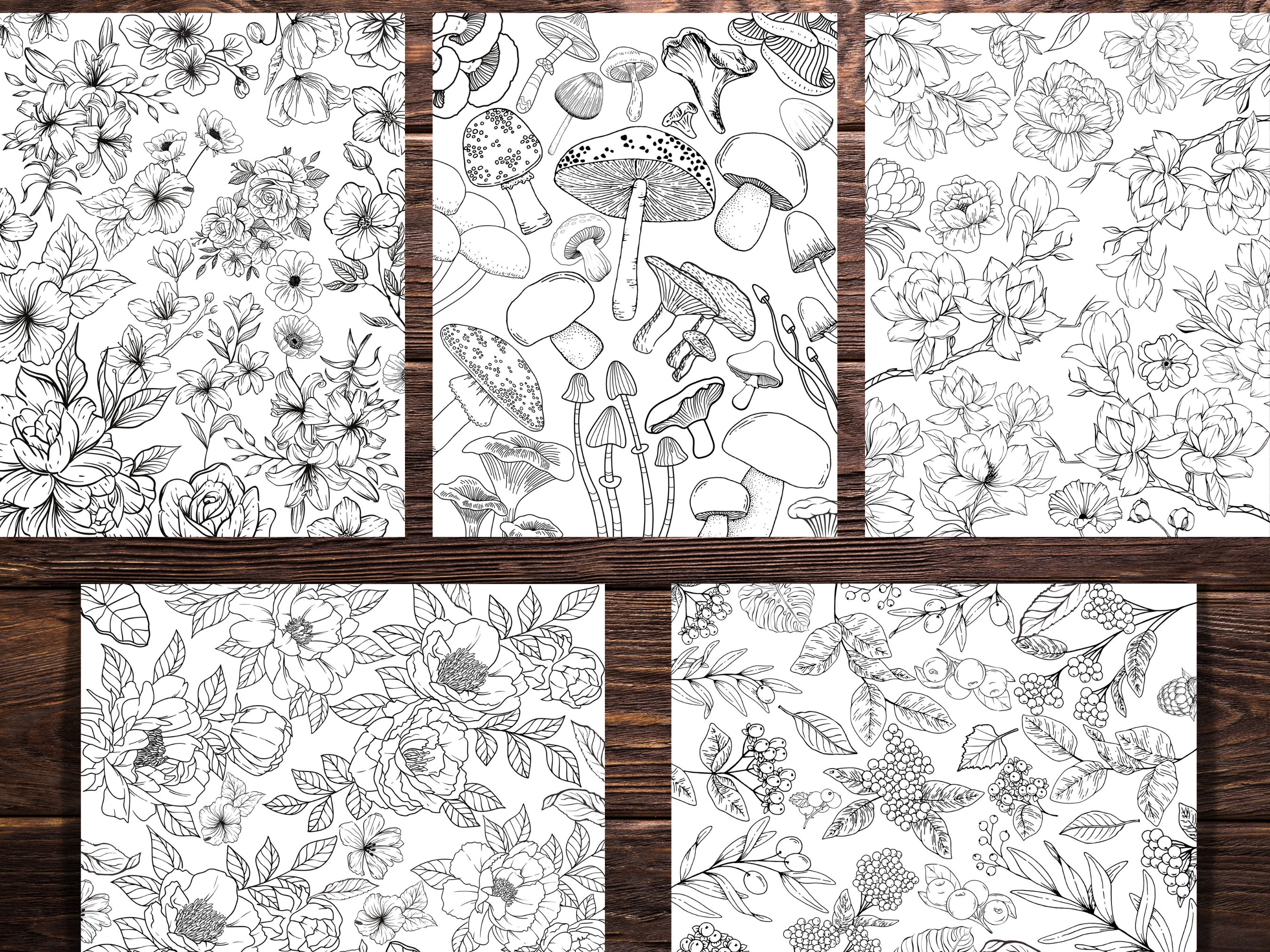 10 Pack Printable Botanical Coloring Pages Floral Coloring - Etsy