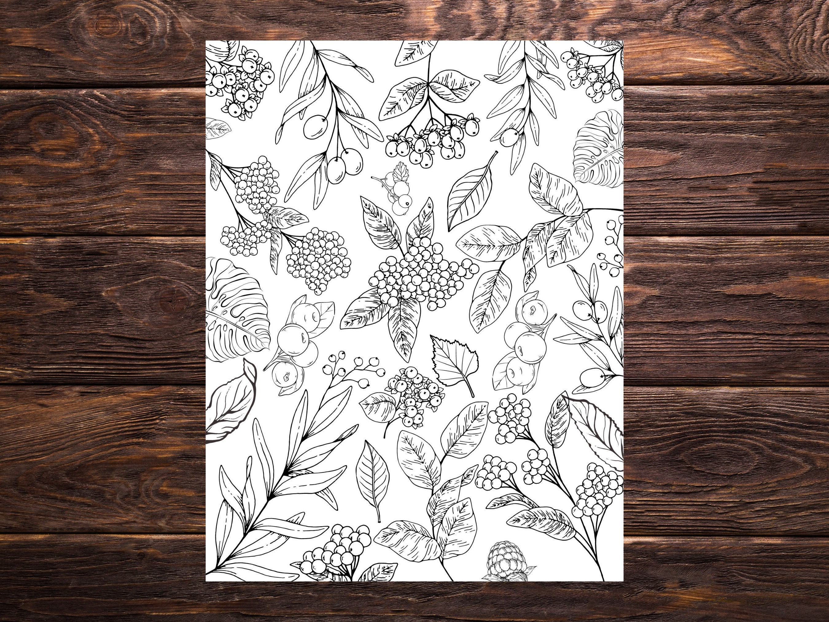 10 Pack Printable Botanical Coloring Pages, Floral Coloring Book Pages ...