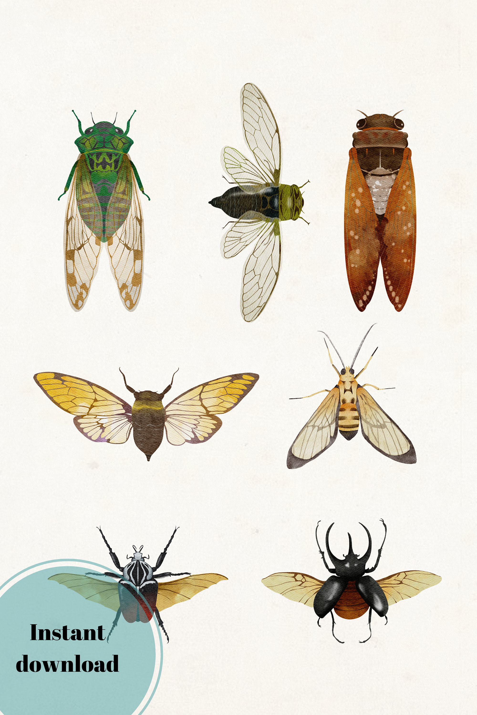 Printable Vintage Wall Art Printable Wall Decor Illustration - Etsy