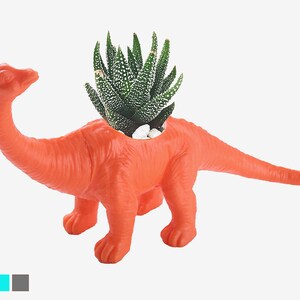 Dinosaur Cacti Plant Holder - Etsy