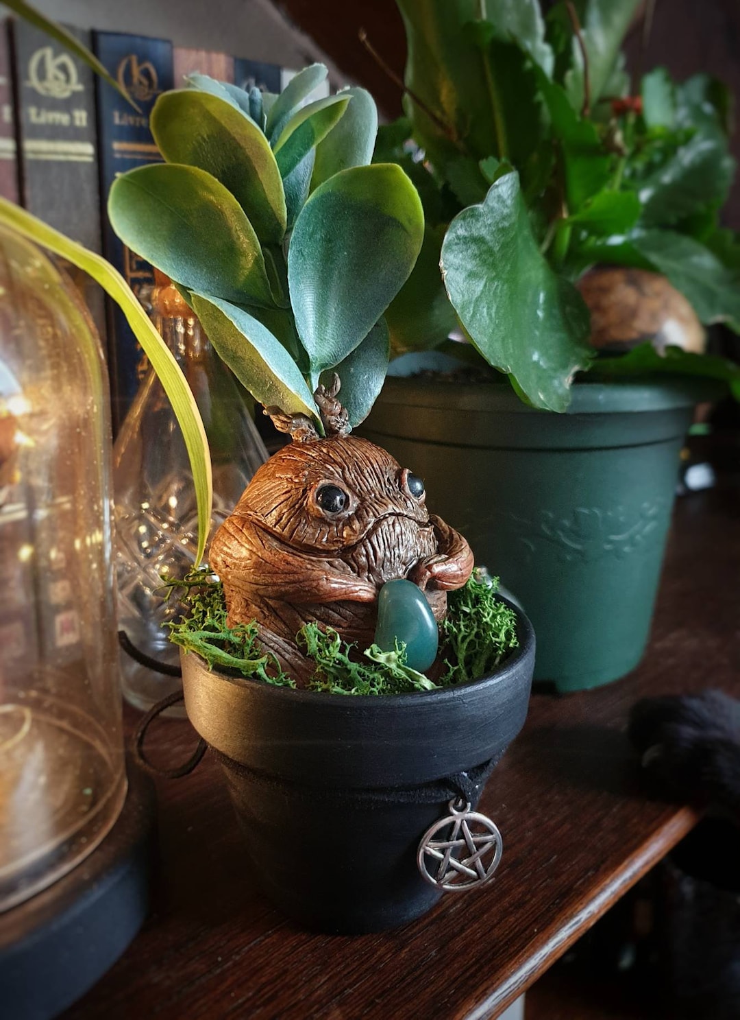 Mini Mandrake - Etsy