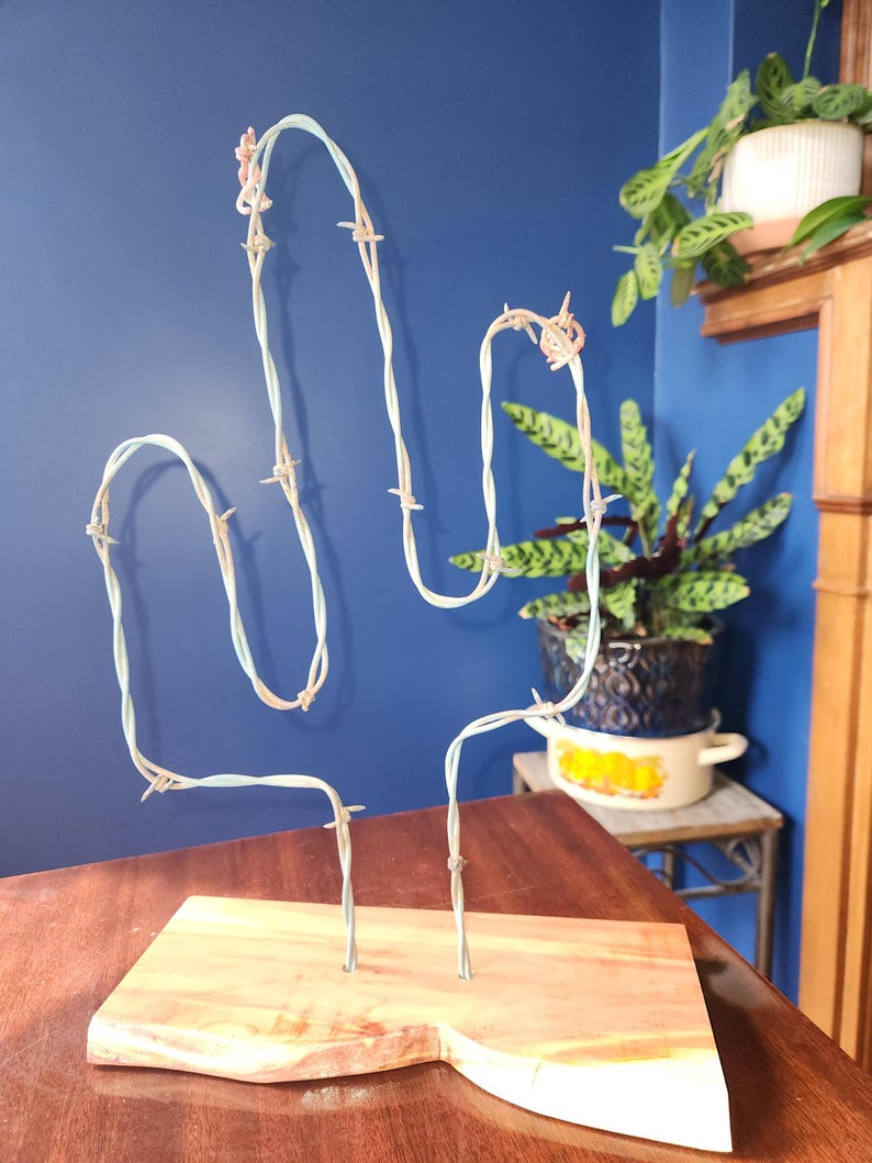 Barbed Wire Cactus Decor - Etsy
