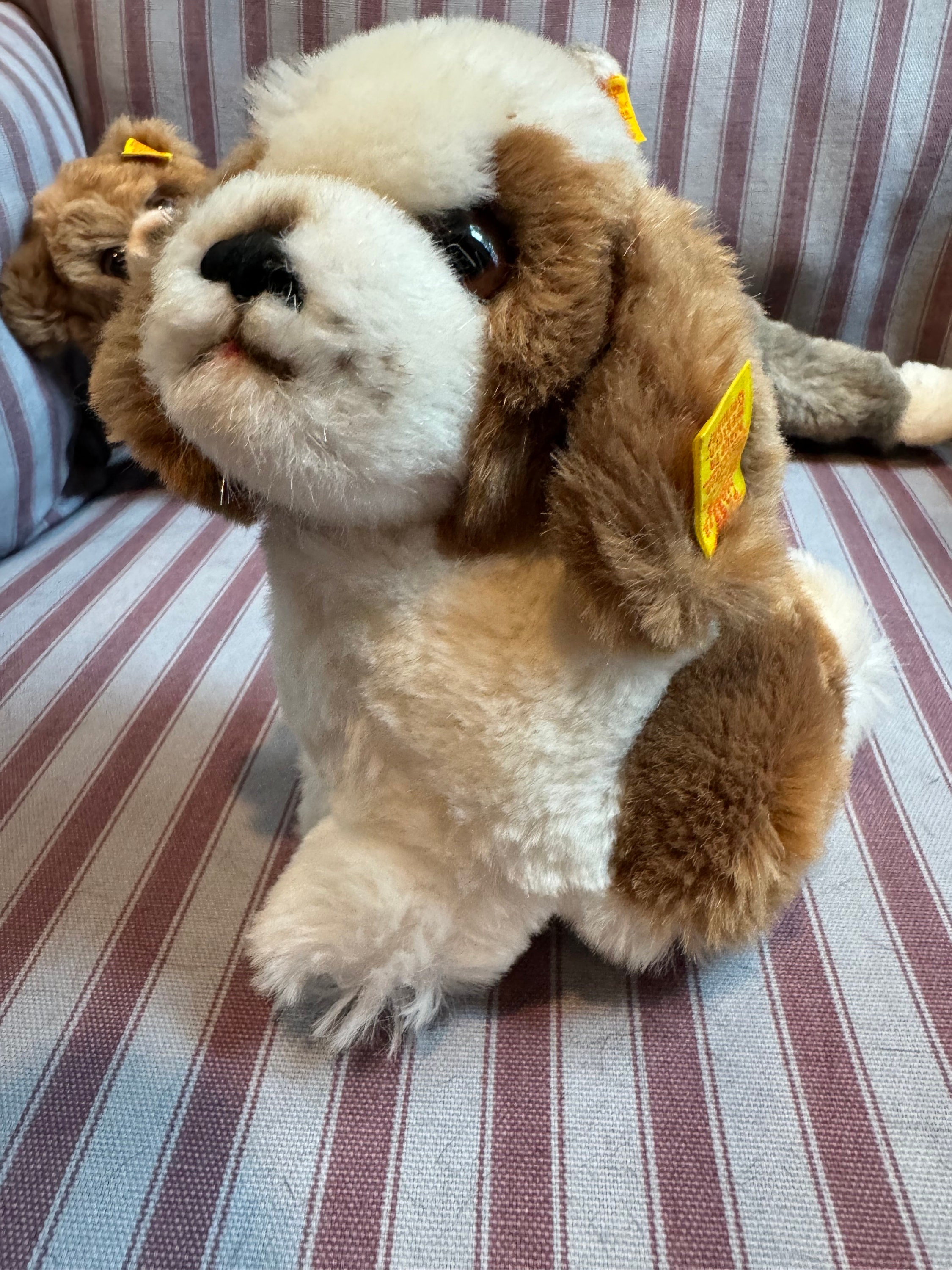 Vintage Steiff Stuffed Animals Germany Baby Bear Dog Cat Lion Lamb ...