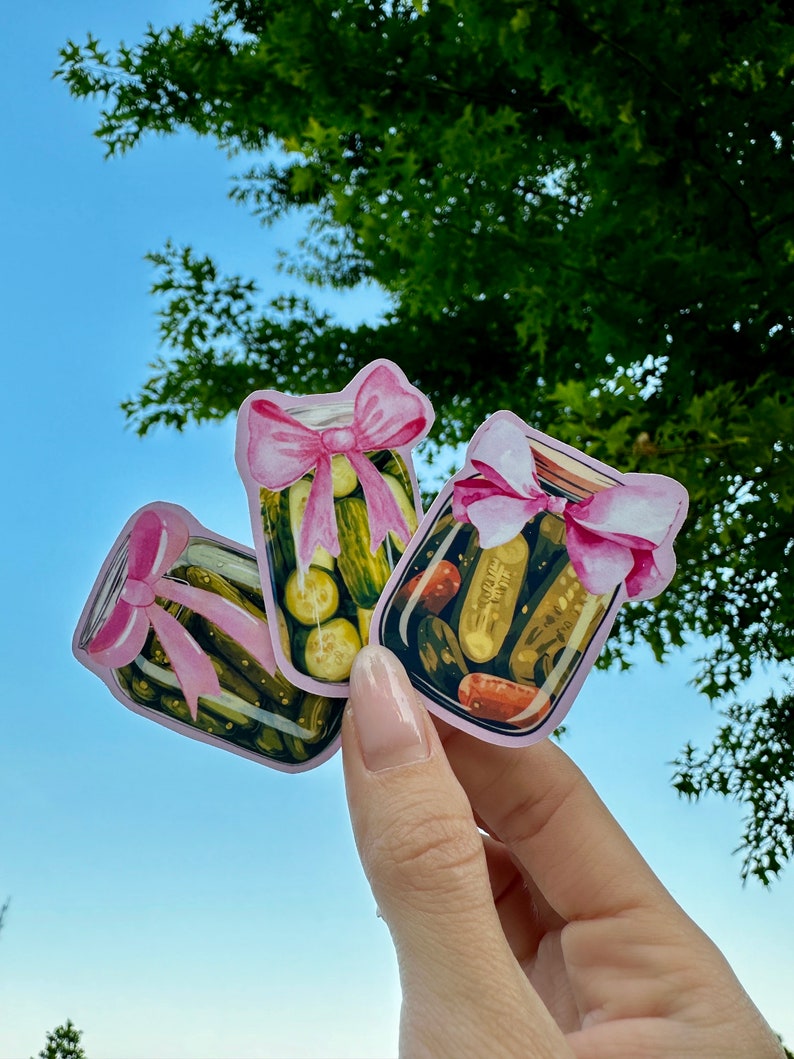 Coquette Pickle Jar Sticker Set Water Resistant - Etsy