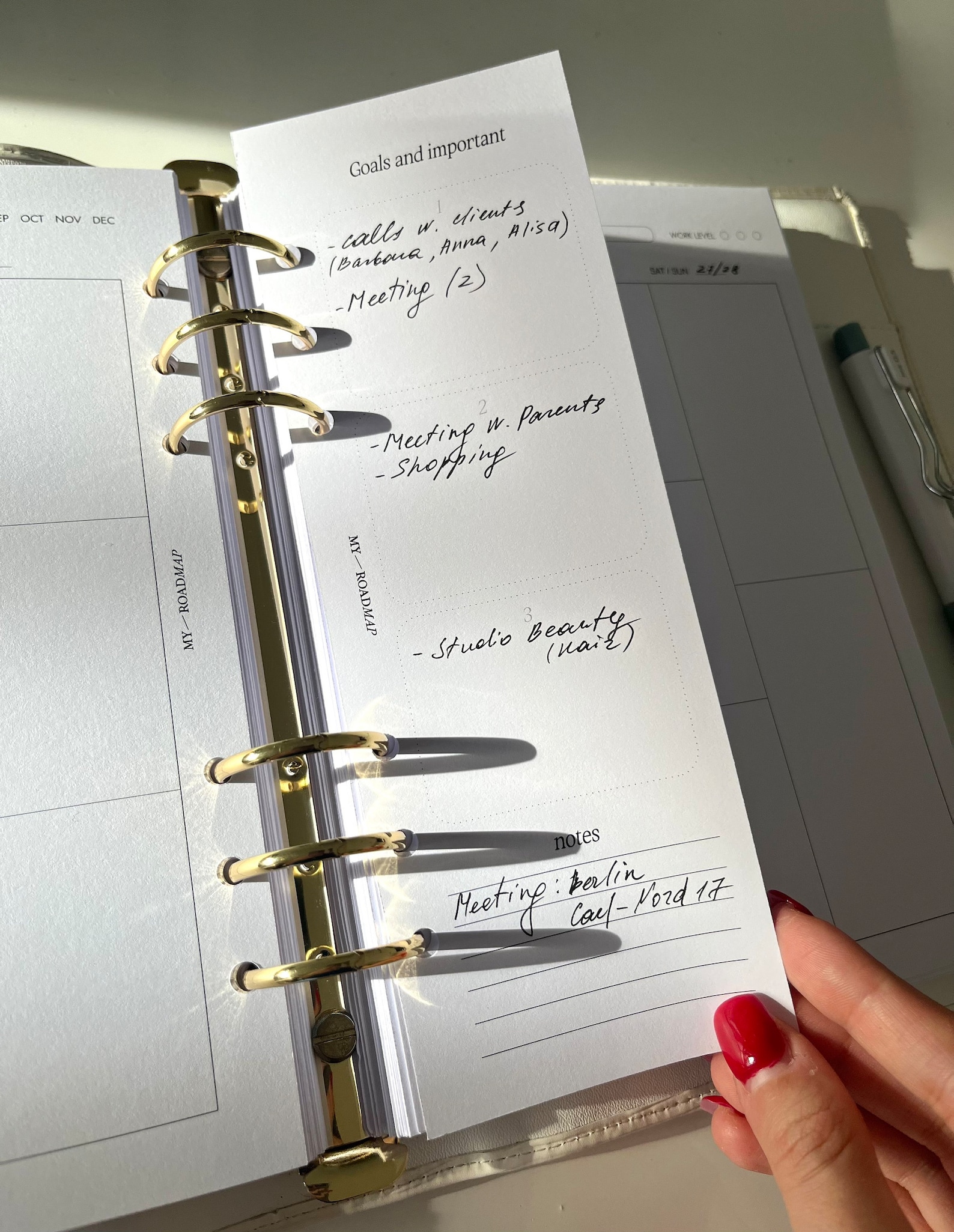 Slim Inserts | Ring Binder Inserts | Inserts for A5 Ring Planners and ...