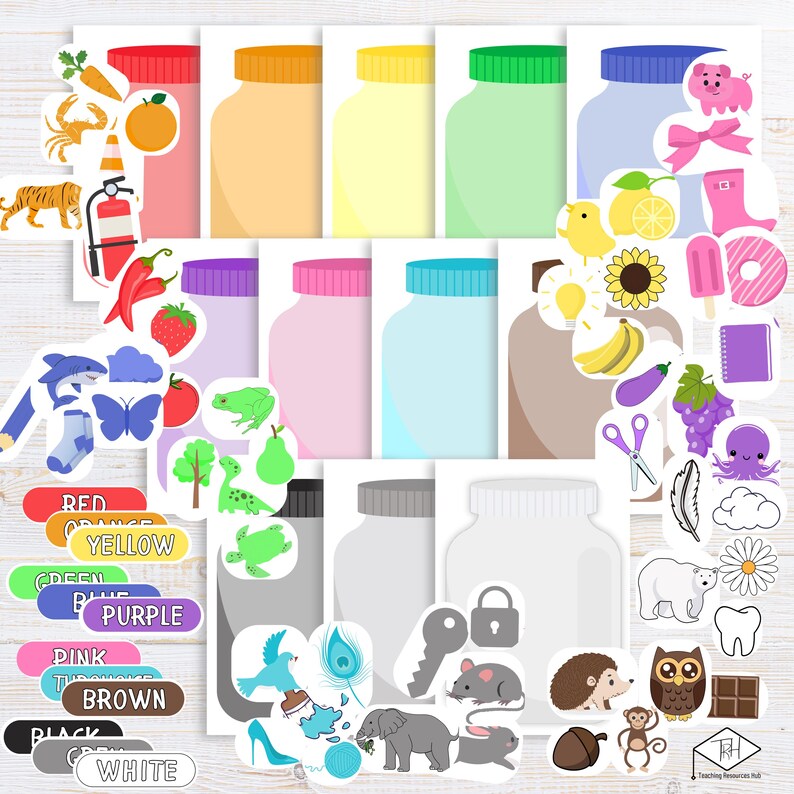 Montessori Colour Sorting Activity for Toddlers, Learning Matching ...