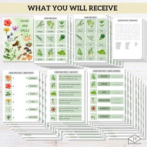 Herbs and Spices Toddler Busy Book Learning Pack - Montessori Materials ...