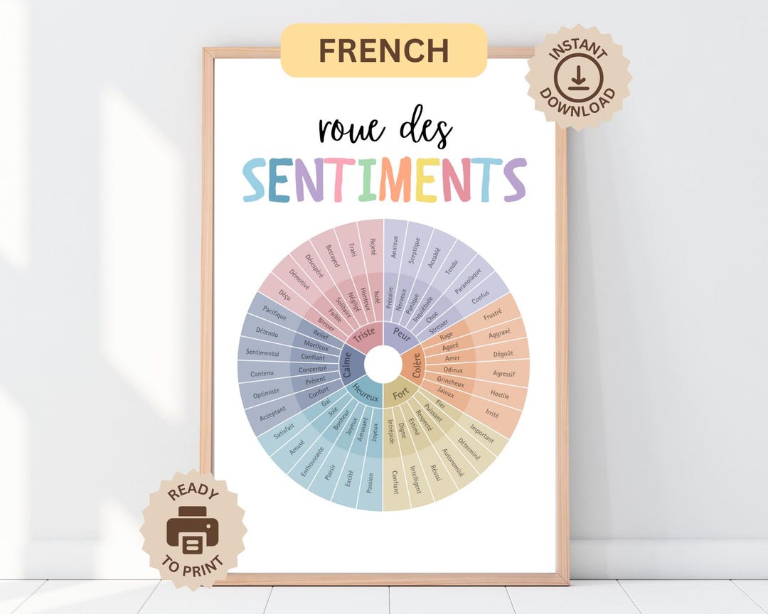 French Feelings Wheel Poster, Classroom Decor, Emotions Chart, Calming ...