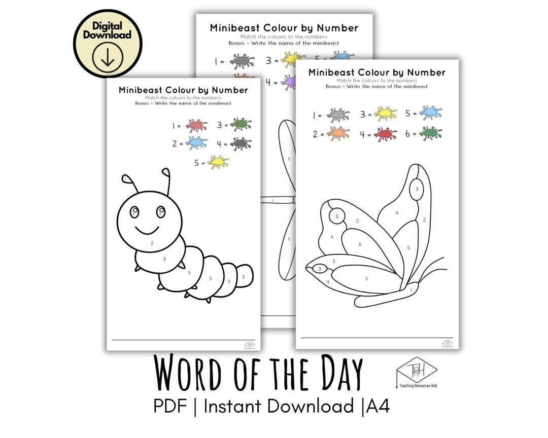 Minibeasts Colour by Number: Printable Maths Fun Colorful - Etsy