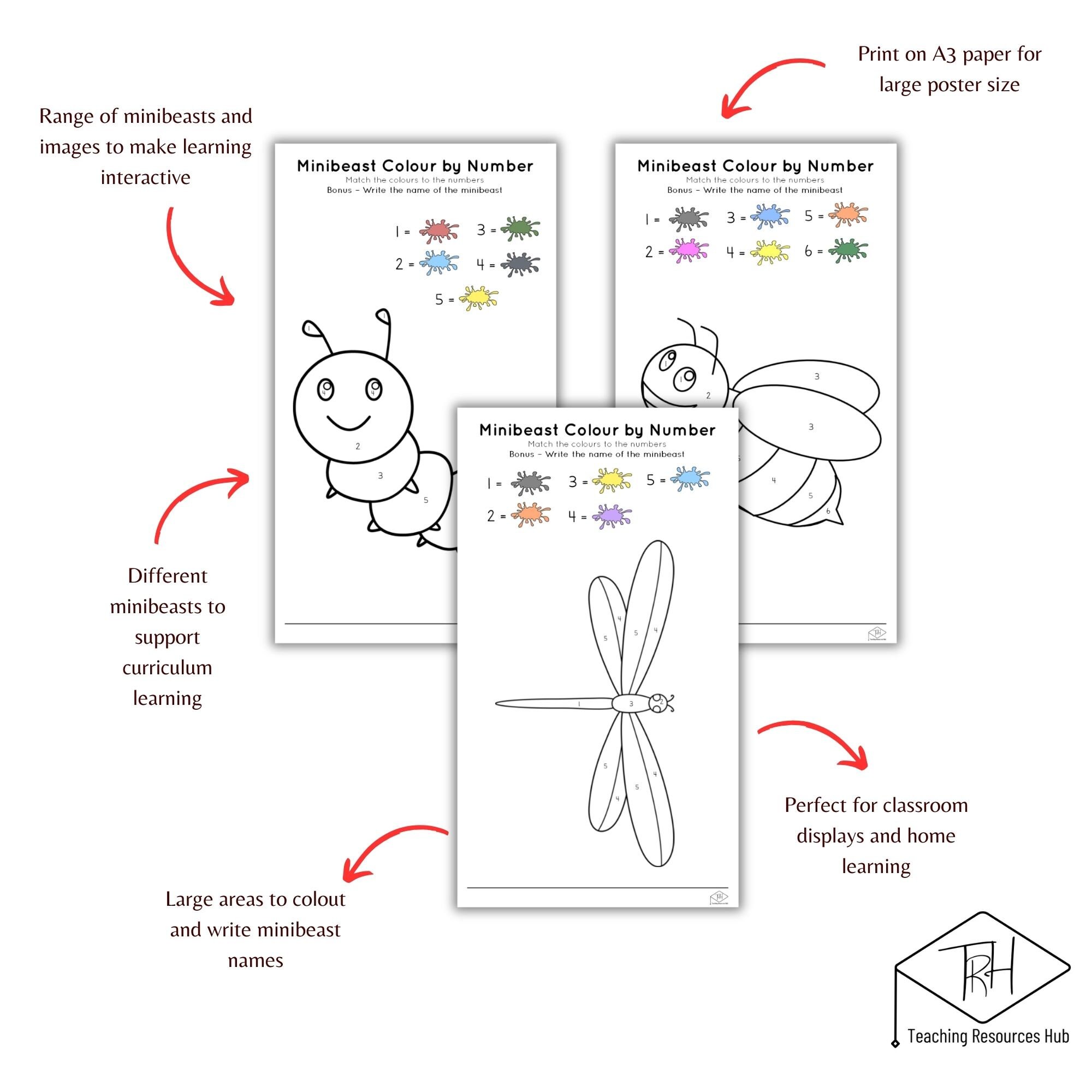 Minibeasts Colour by Number: Printable Maths Fun! Colorful Engaging ...