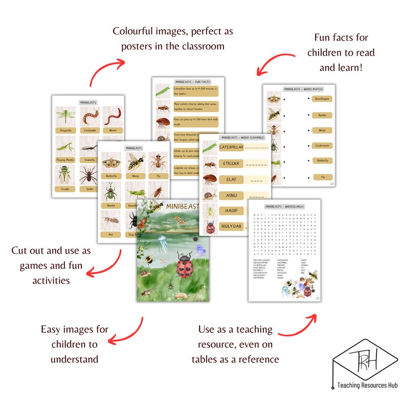 Minibeasts Learning Pack - Montessori Busy Book, Educational Prints ...