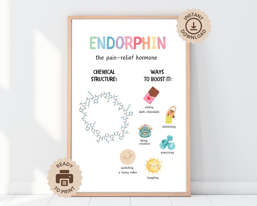 Endorphin Poster, Happy Chemicals Poster, Counselor Office Decor ...