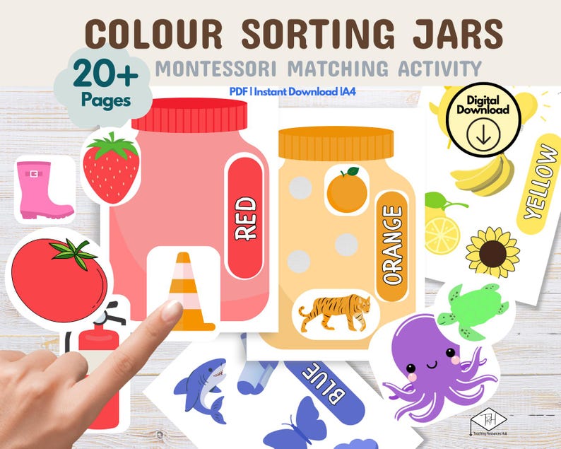 Montessori Colour Sorting Activity for Toddlers, Learning Matching ...