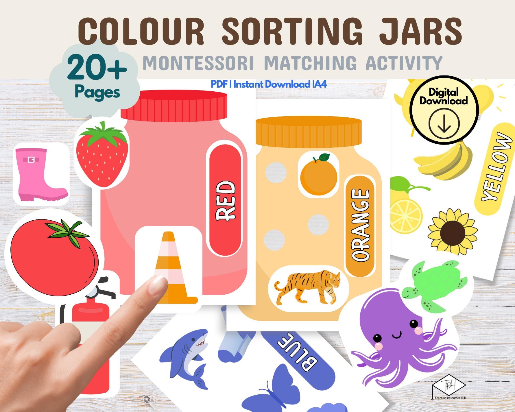 Montessori Colour Sorting Activity for Toddlers, Learning Matching ...