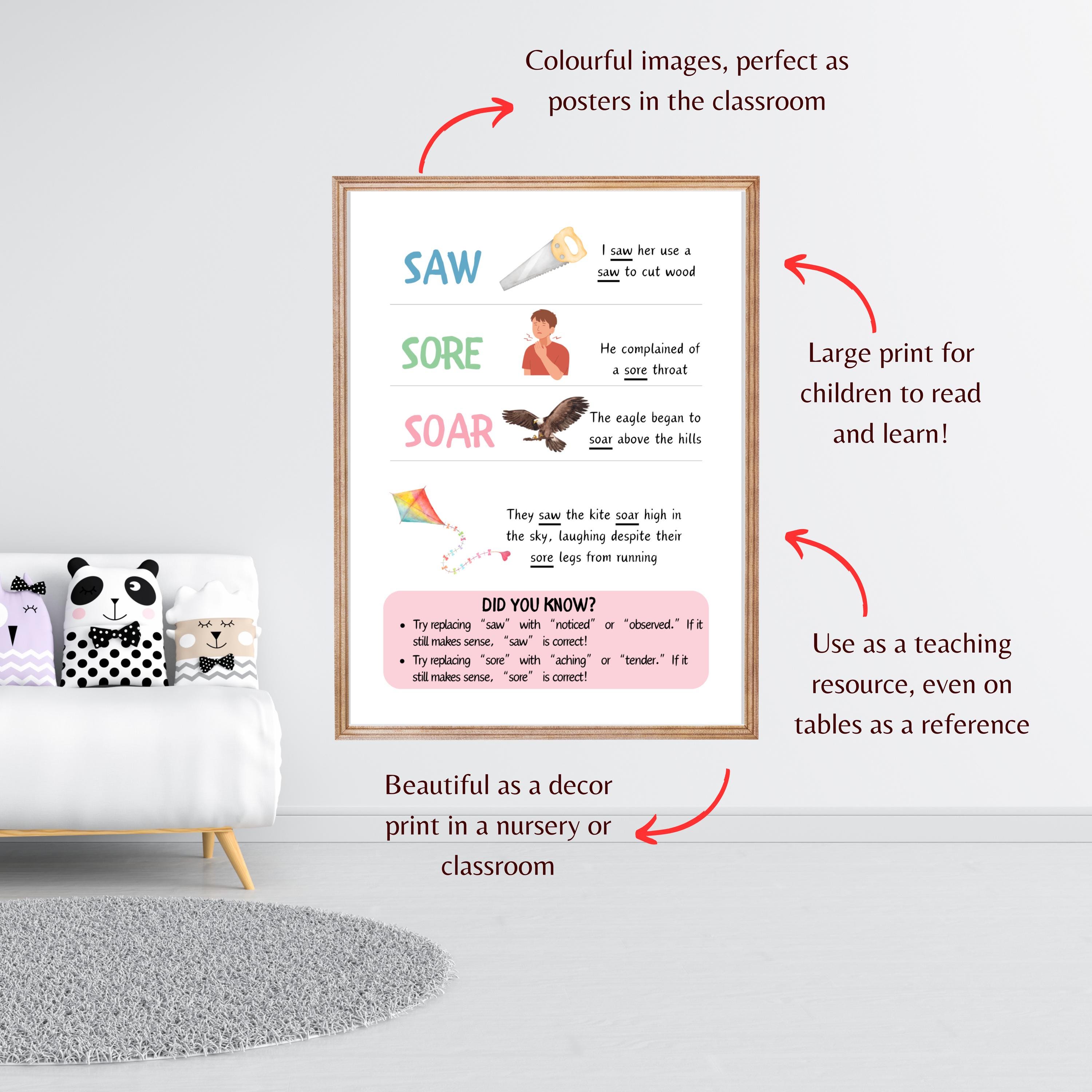 Set of 10 Homophones Posters, English Classroom Decor, Common Mistakes ...