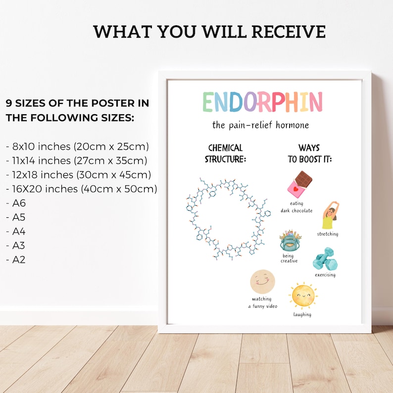 Endorphin Poster, Happy Chemicals Poster, Counselor Office Decor ...